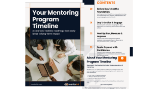 Mentoring Program Timeline